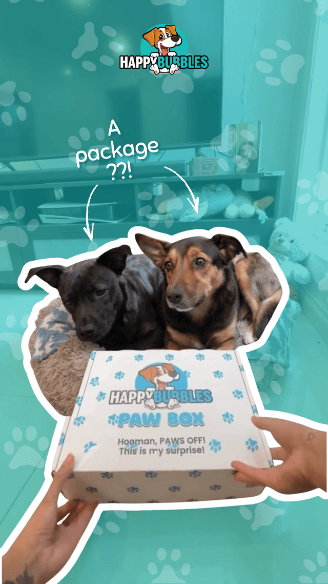 Paw Box | Happy Bubbles